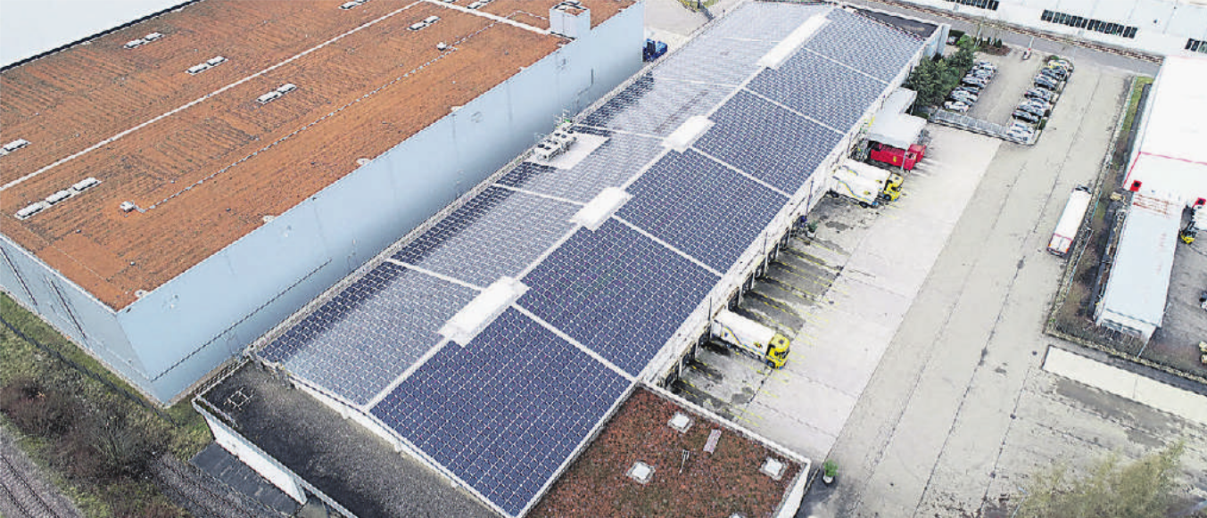 Neue Fricktaler Zeitung | Sonnenenergie für frische Früchte