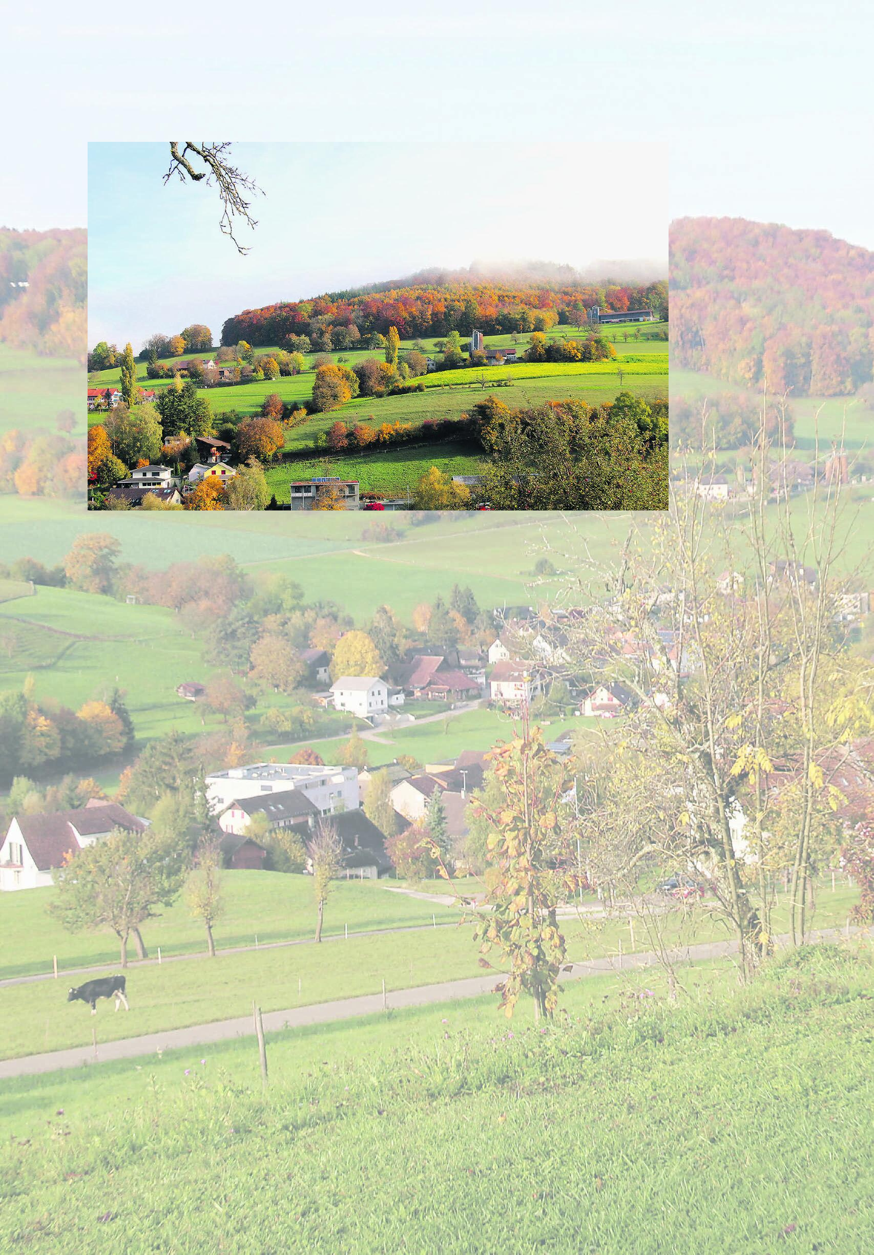 Neue Fricktaler Zeitung | Herbstgrüsse aus Zuzgen