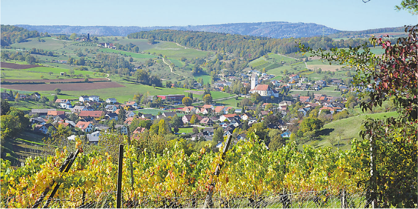 Neue Fricktaler Zeitung | Bald der erste Vita-Parcours im Staffeleggtal